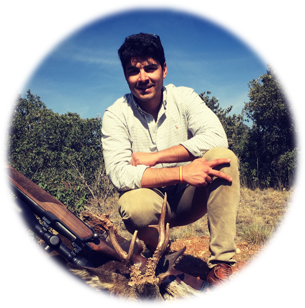 Download Gon - Sitting - Full Size PNG Image - PNGkit