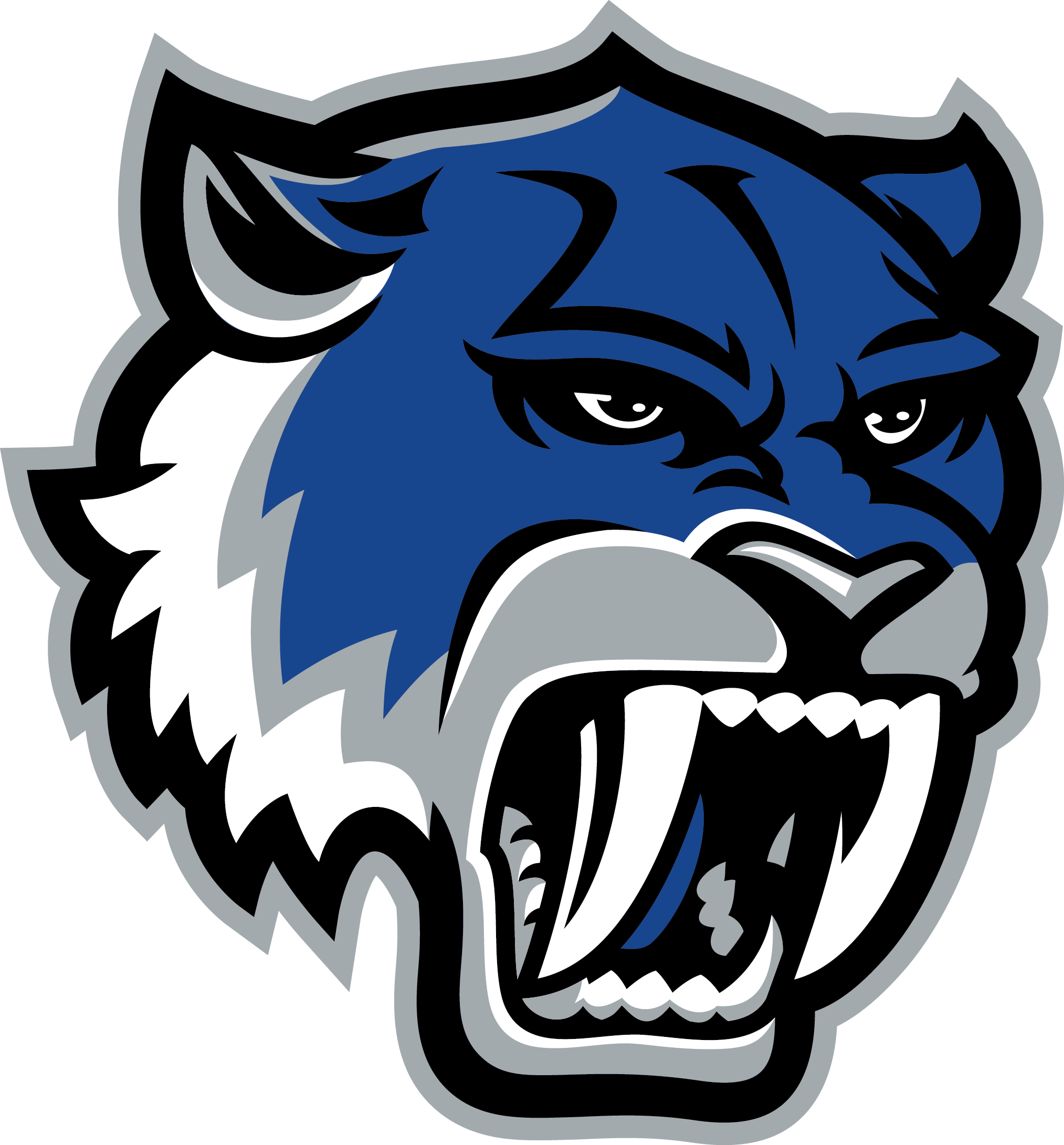 Download Image Of Robert Vela High School Mascot - Full Size PNG Image ...