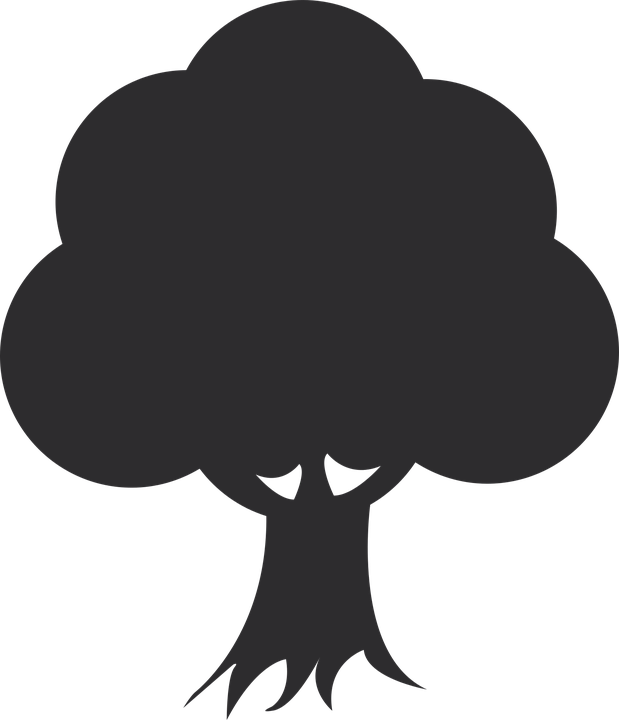Download Tree Icon Png - Albero Icona Png - Full Size PNG Image - PNGkit