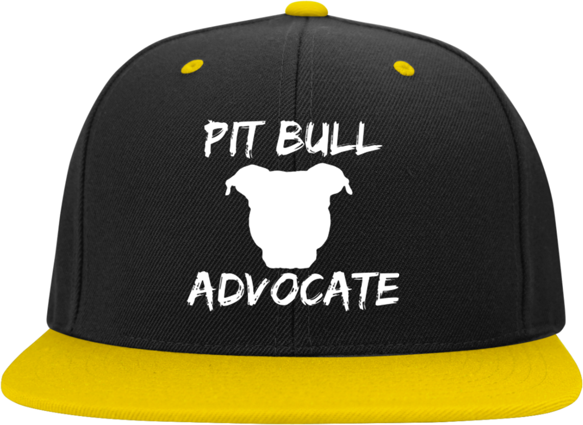 Download Pit Bull Advocate - Nissan Gtr Stc19 Sport-tek Flat Bill High ...