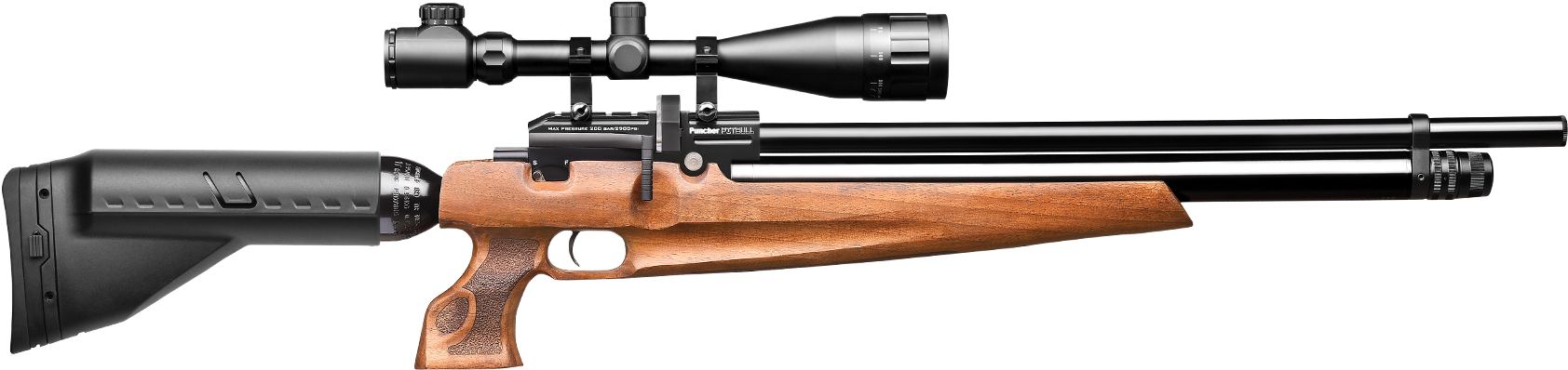 Download Puncher Pitbull - Puncer Pitbull - Full Size PNG Image - PNGkit