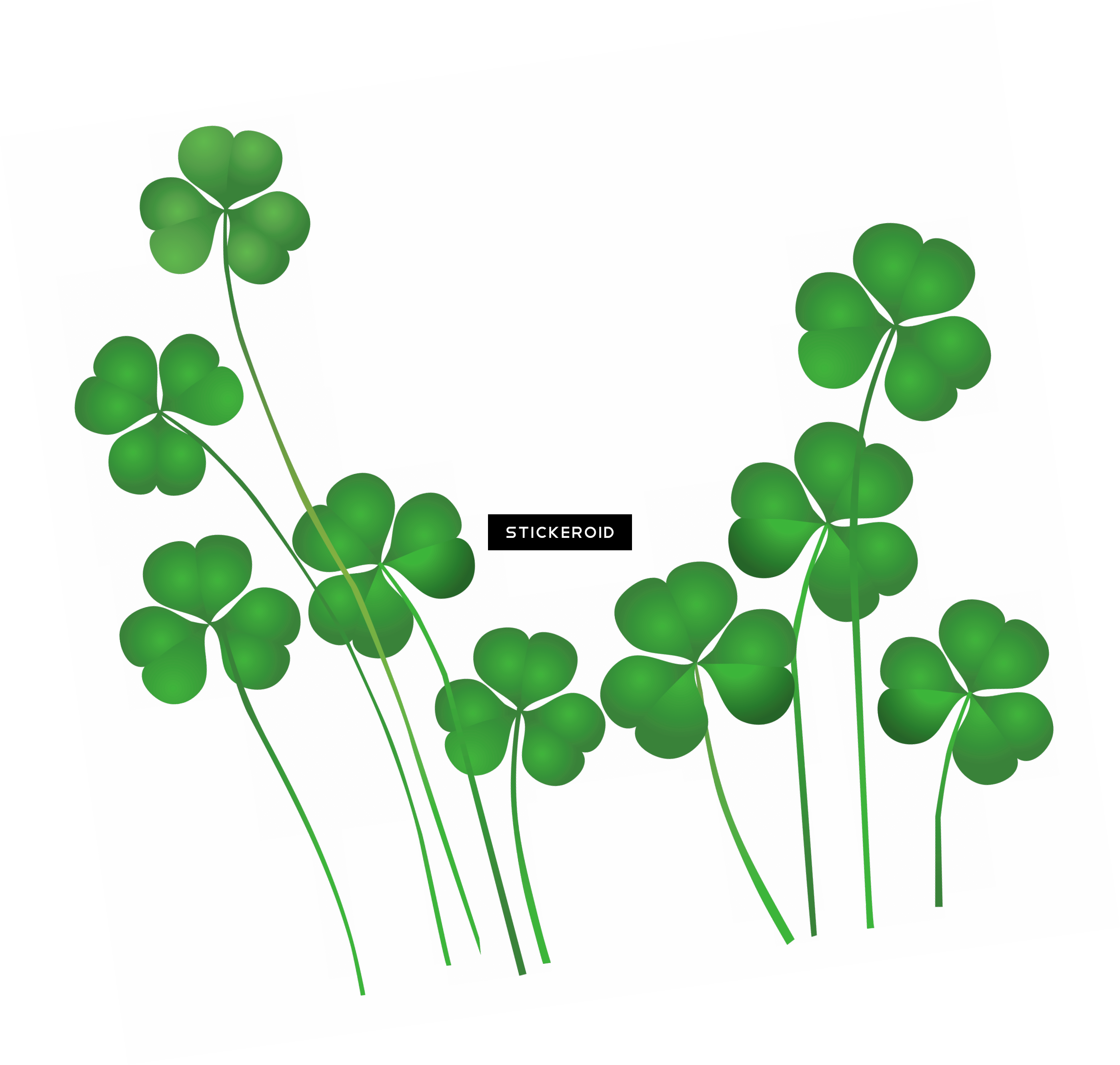 Download Saint Patrick's Day - Shamrock Png - Full Size PNG Image - PNGkit