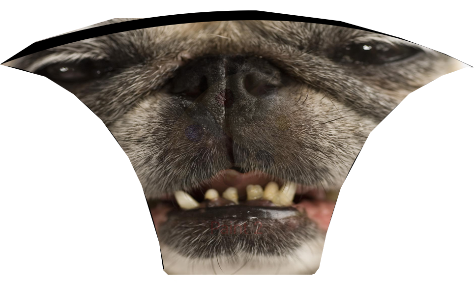 Download Pugface - Pug Dog Looks Stoned Journal - Full Size PNG Image ...