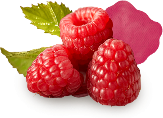 Download Red Berry Png Graphic Library Stock - Png Berry - Full Size ...