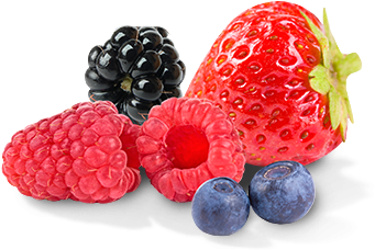 Download Berries - Berry - Full Size PNG Image - PNGkit
