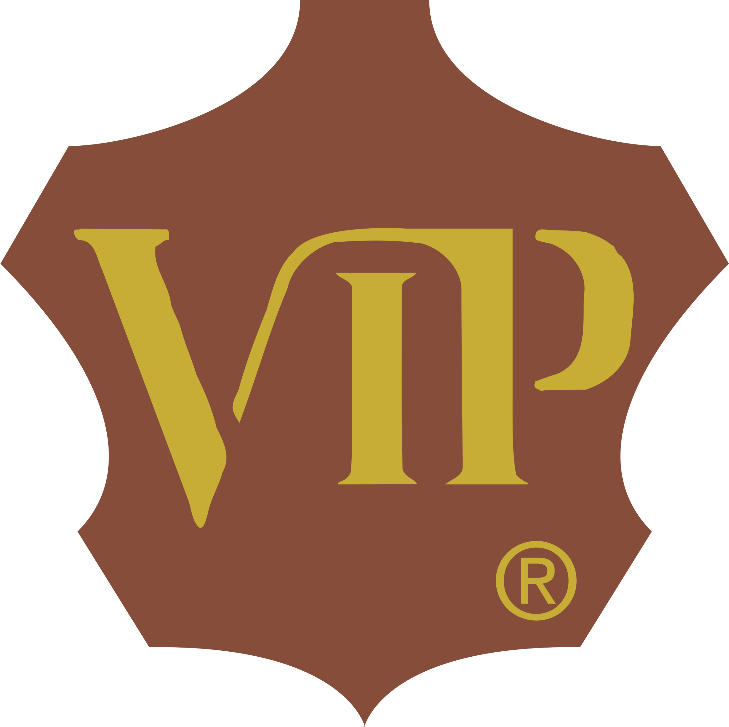 Download Vip Logo Png Transparent - Vip - Full Size PNG Image - PNGkit