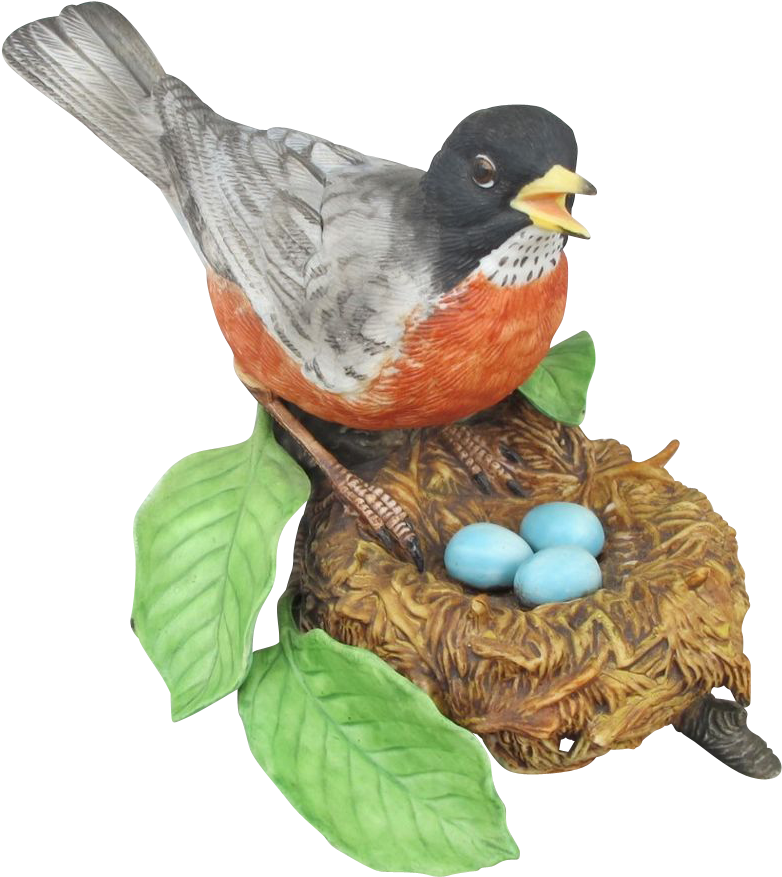 Download American Robin Clear Background - Full Size PNG Image - PNGkit
