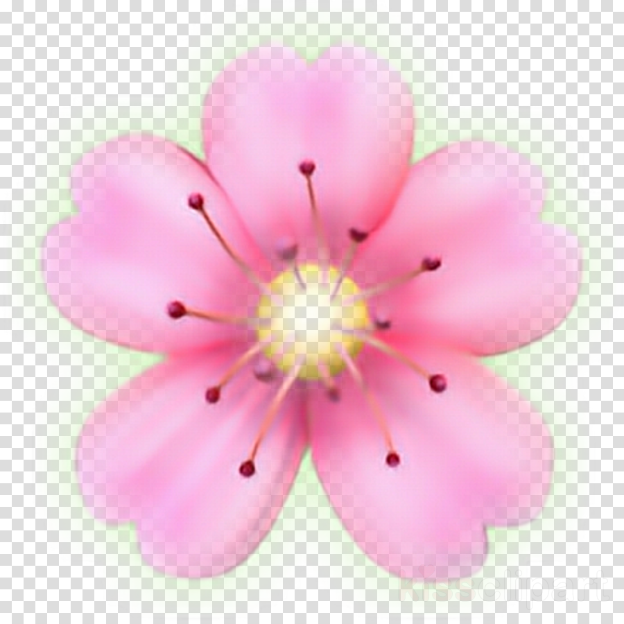Download Transparent Flower Emoji Png Clipart Emoji Domain Sticker ...