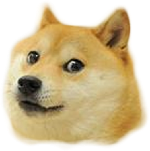 Download Shiba Meme - Full Size PNG Image - PNGkit