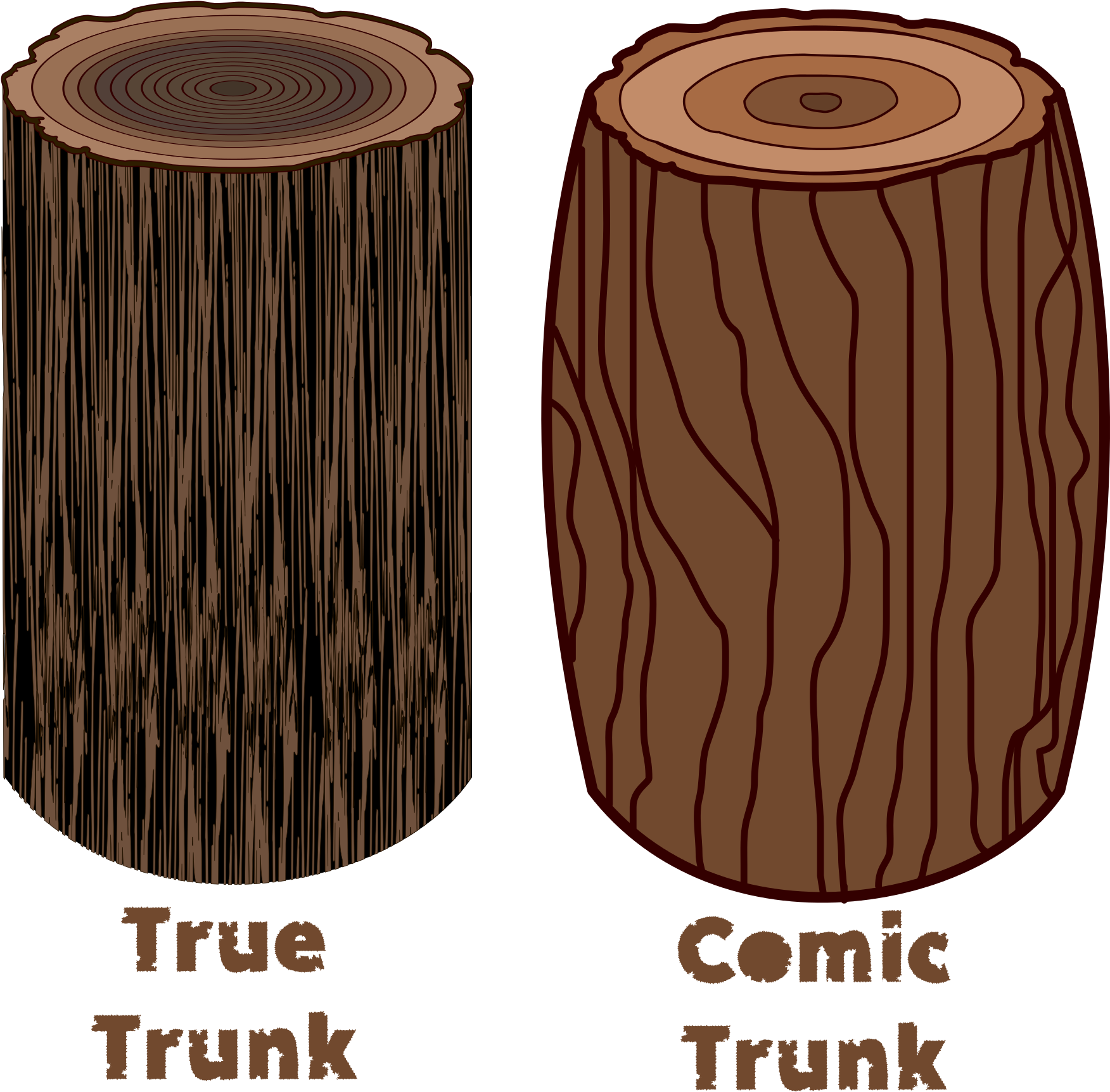Download Open - Trunk Wood - Full Size PNG Image - PNGkit