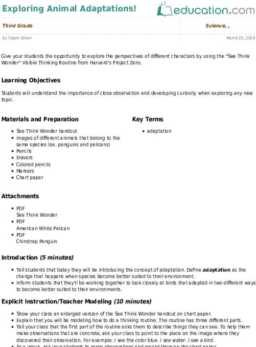 Download Transparent Exploring Animal Adaptations - Lesson Plan About ...