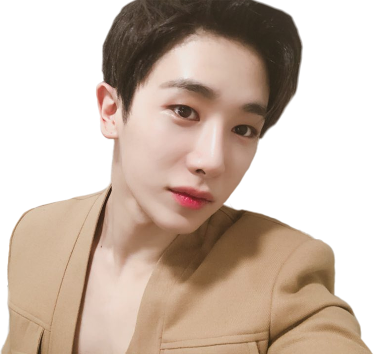 Download Monsta X Wonho 2018 - Full Size PNG Image - PNGkit