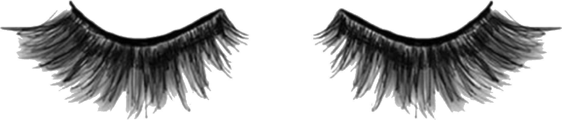 Download Eyelashes Png - Lashes Png - Full Size PNG Image - PNGkit