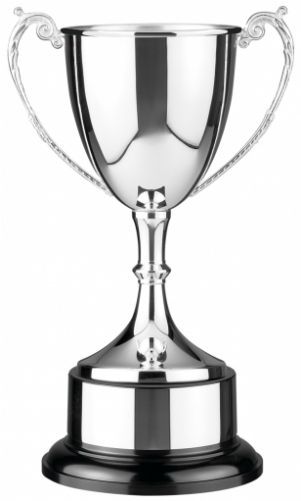 Download Rugby Silver Trophy - Full Size PNG Image - PNGkit