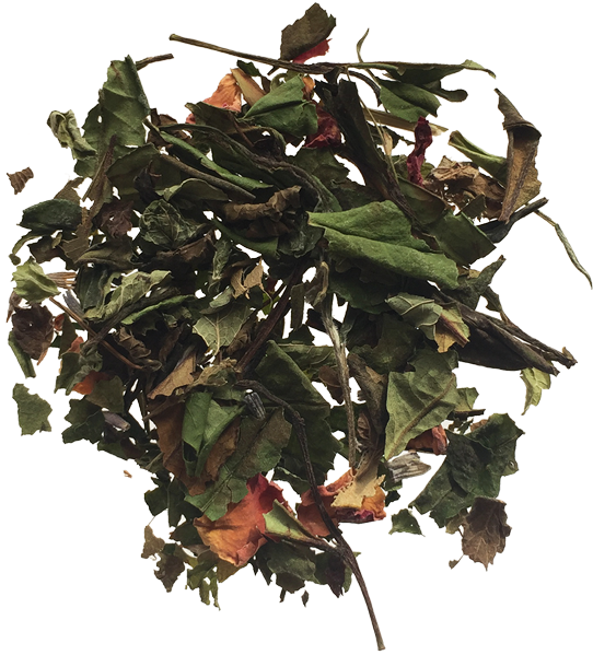 Download Lavender Rose Tea - Woodshed Coffee & Tea - Full Size PNG ...