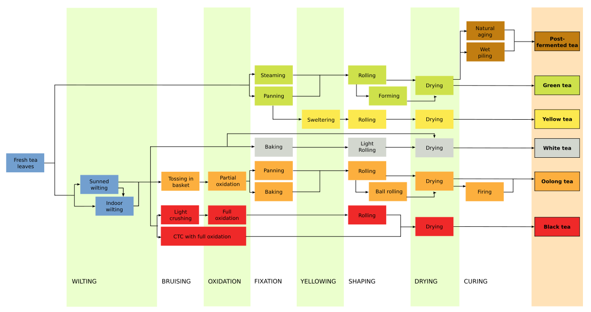 Download Tea Leaf Processing Methods For The Six Most Common - Tea ...