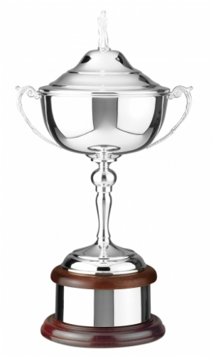 Download Golfing Challenge Cup 17in - Full Size PNG Image - PNGkit