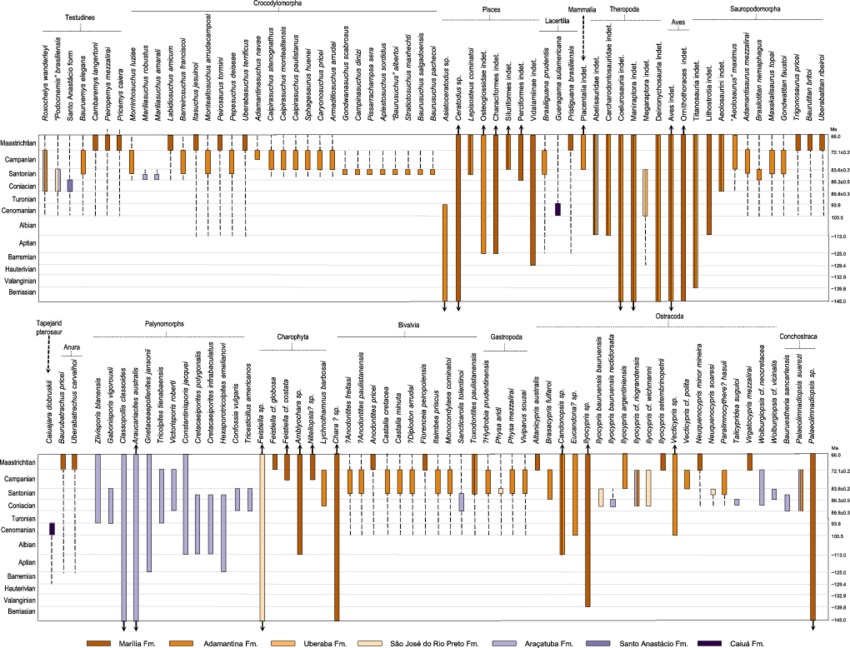 Download Stratigraphic Range Chart Of Selected Fossil Taxa Of - Orange ...