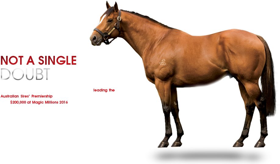 Download Not A Single Doubt - Full Size PNG Image - PNGkit