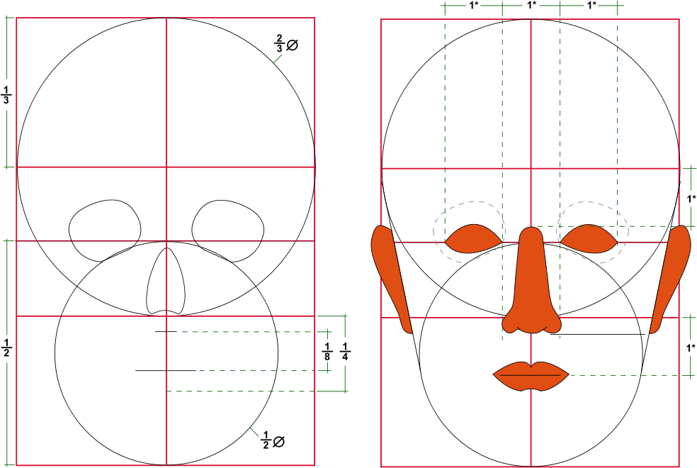 Download 1000px-human Head Proportions - Human Head Proportions - Full ...
