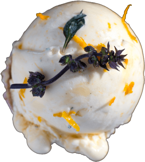 Download Thai Basil And Mandarin - Insect - Full Size PNG Image - PNGkit