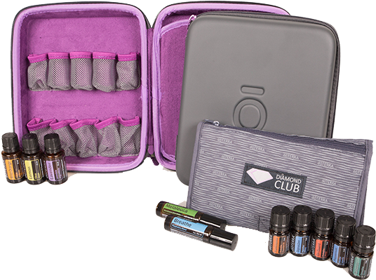 Download Diamond Club Travel Essentials Kit - Laptop Bag - Full Size ...