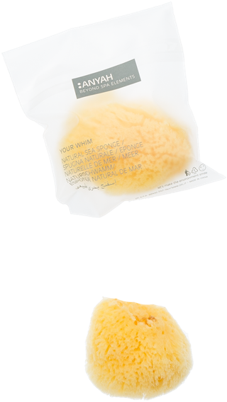 Download Natural Sea Sponge, Anyah - Sponge - Full Size PNG Image - PNGkit