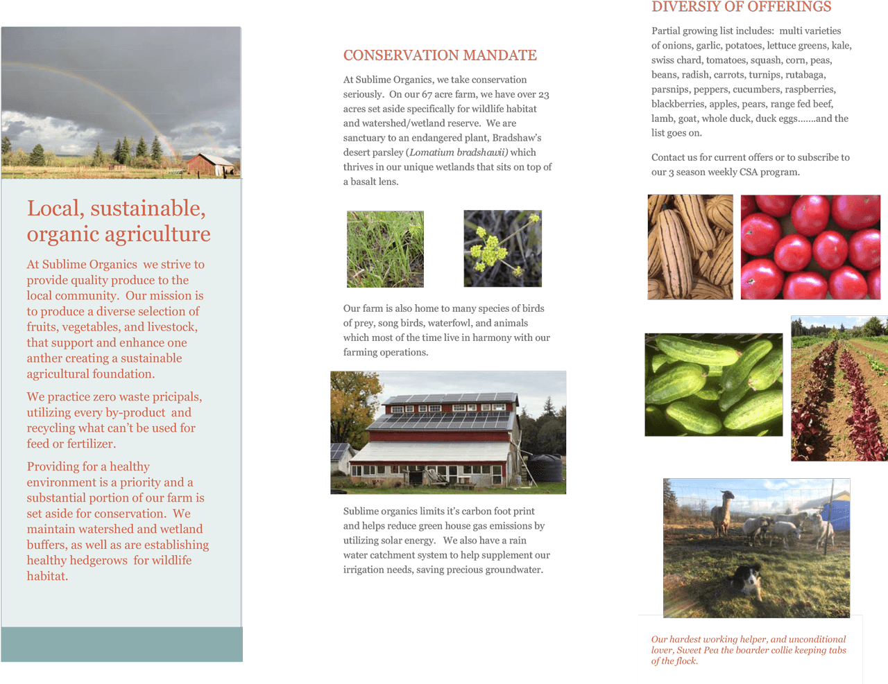 Download Leaflet-2 - Tree - Full Size PNG Image - PNGkit