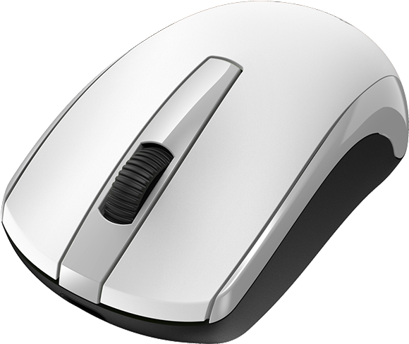 Download Computer Mouse - Full Size PNG Image - PNGkit