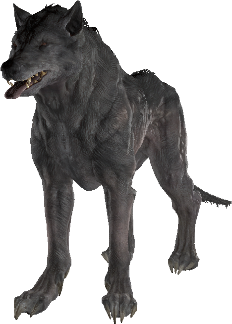 Download The Vault Fallout Wiki - Feral Wolf Fallout - Full Size PNG ...