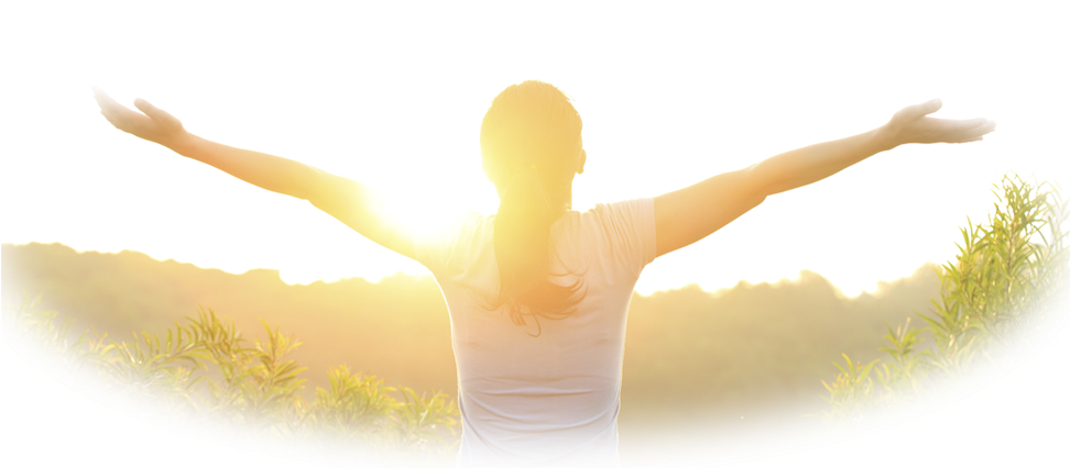 Download Dual Diagnosis - Sunlight - Full Size PNG Image - PNGkit