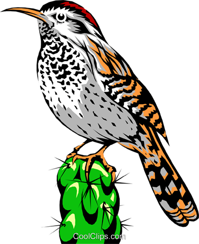 Download Cactus Wren Royalty Free Vector Clip Art Illustration - Sea ...
