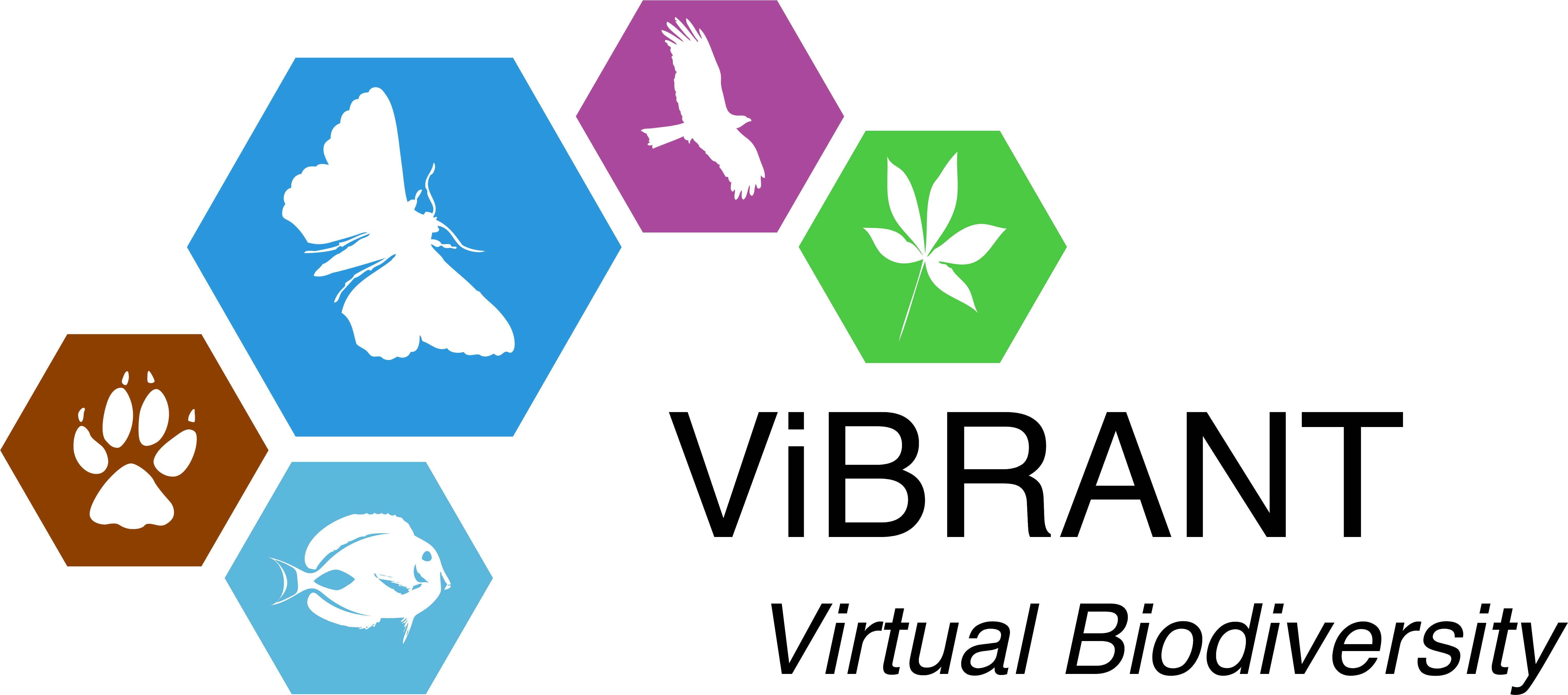 Download Vibrant Logo Black Text Medium - Vibrant Logo - Full Size PNG ...