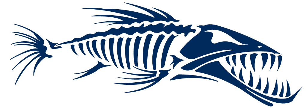 Download Skeleton Fish - Barracuda Clipart - Full Size PNG Image - PNGkit