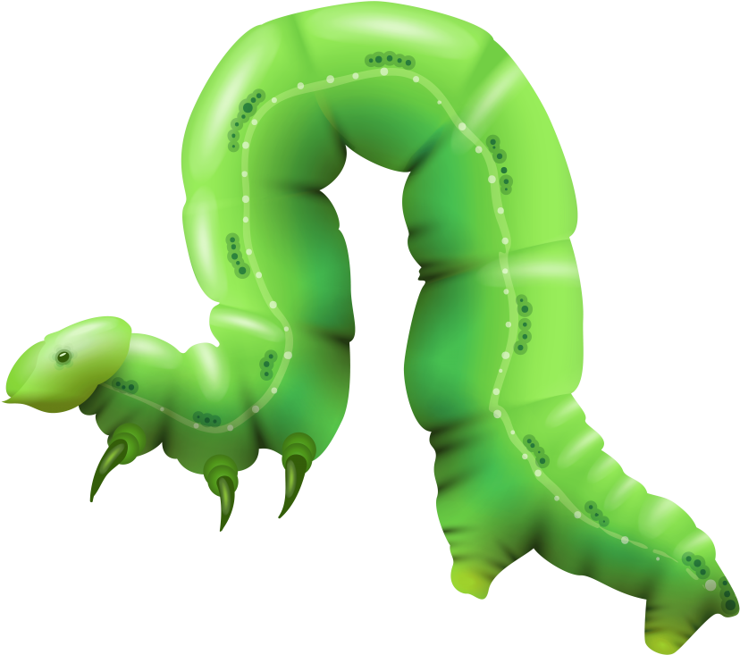 Download Free Png Caterpillar Png Images Transparent - Caterpillar Png ...