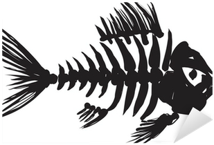 Download Fish Skeleton Designs - Full Size PNG Image - PNGkit
