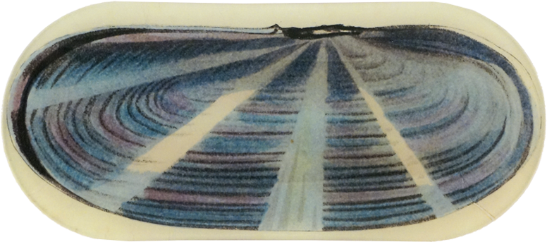 Download Blue Shell Blue Shell - Blue Shell - Full Size PNG Image - PNGkit