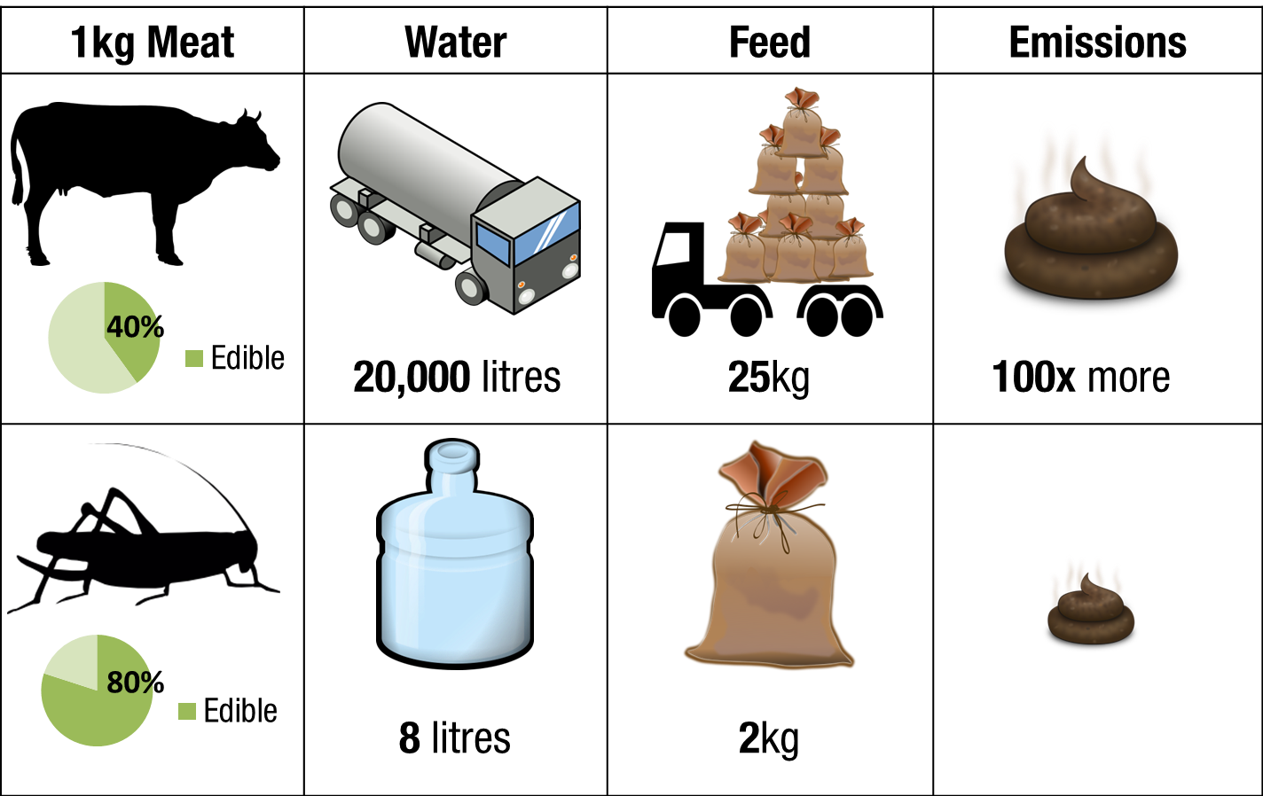 Download Jj Bug Shack Environment Infographic2 - Insect Vs Cow - Full ...