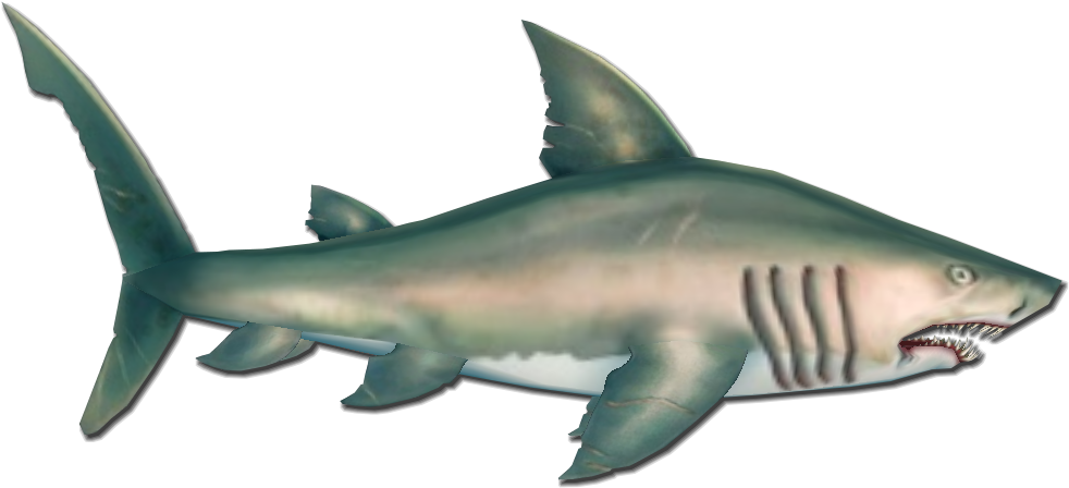 Download Fish 18 - Pirates Of The Caribbean Shark - Full Size PNG Image ...