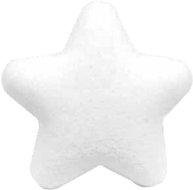 Download Blossom Bliss - Star - Full Size PNG Image - PNGkit