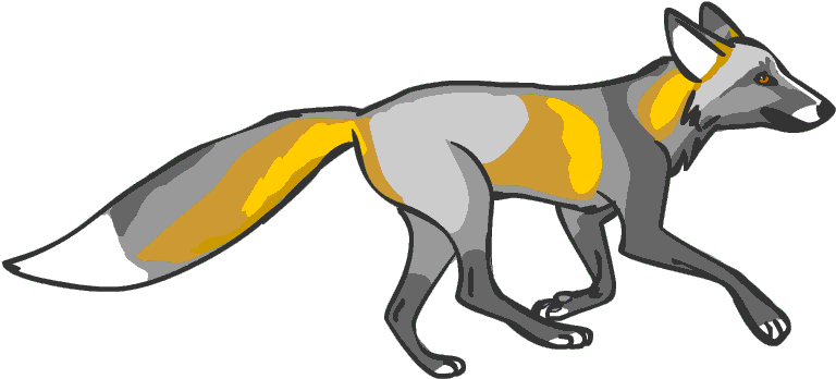 Download Animation Video - Gif Images Without Background - Full Size ...