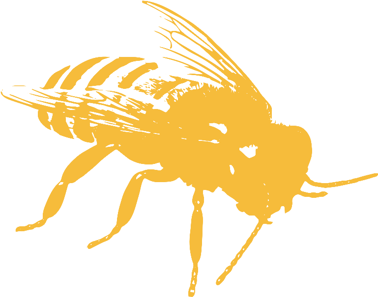 Download Pollinator Toolbox, Honeybee Icon - Pollinator Symbol - Full ...