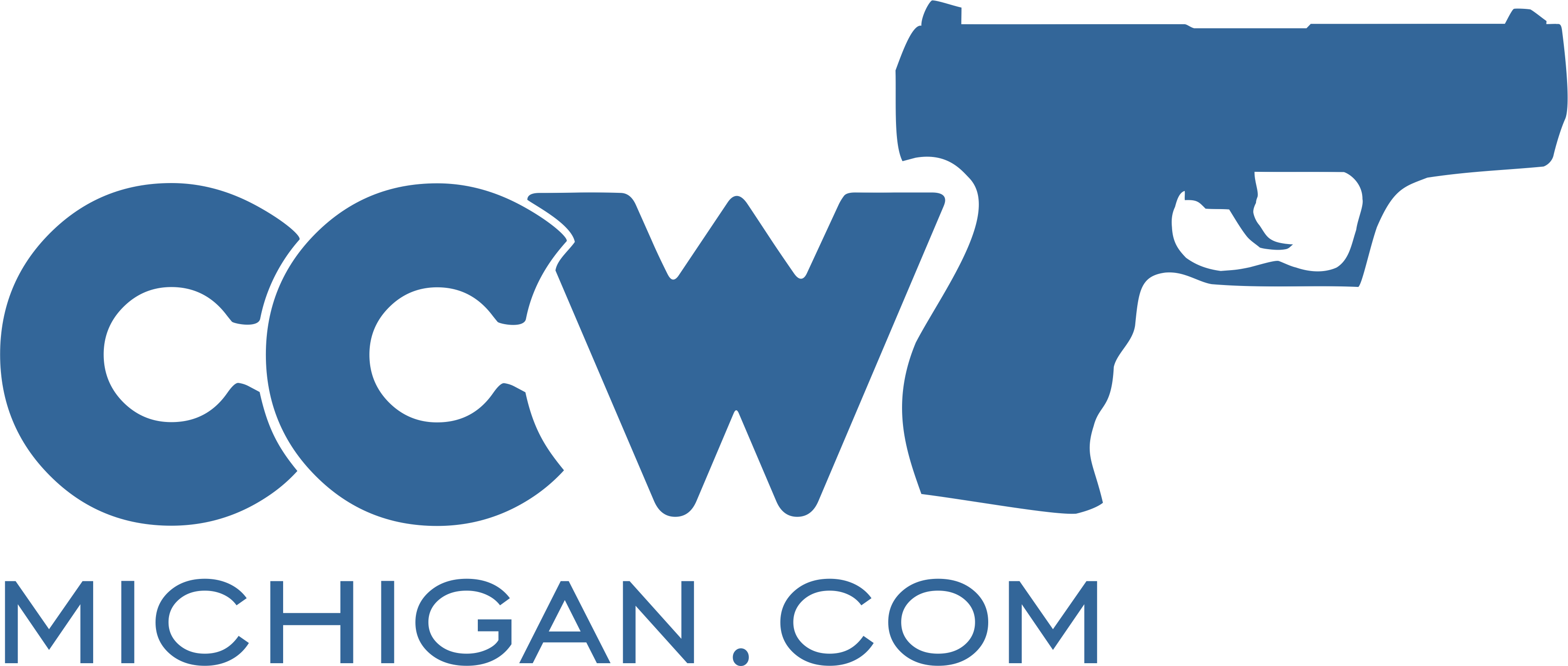 Download Ccw Michigan - Concealed Carry In Michigan - Full Size PNG ...