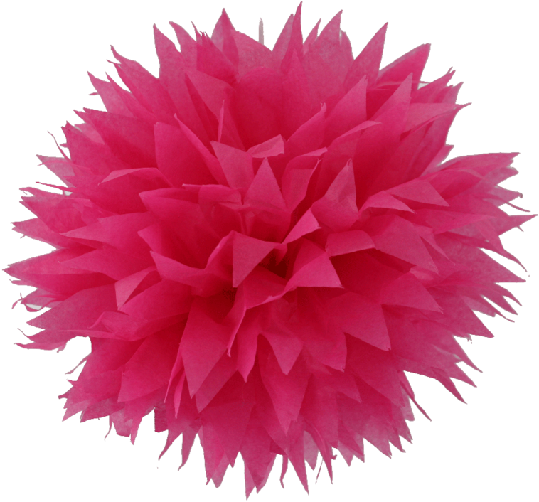 Download Red Pom Poms Png Pluspng - Pompon Papier De Soie Fleur Fuchsia ...