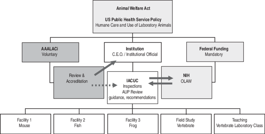 Download Institutions Invite Aaalaci Representatives To Review ...
