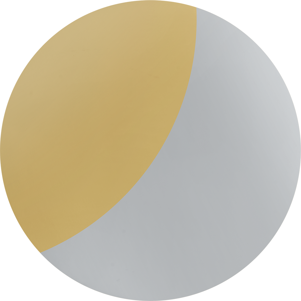Download Chrome/gold Optic - Circle - Full Size PNG Image - PNGkit
