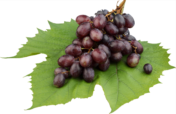 Download Grape - Full Size PNG Image - PNGkit