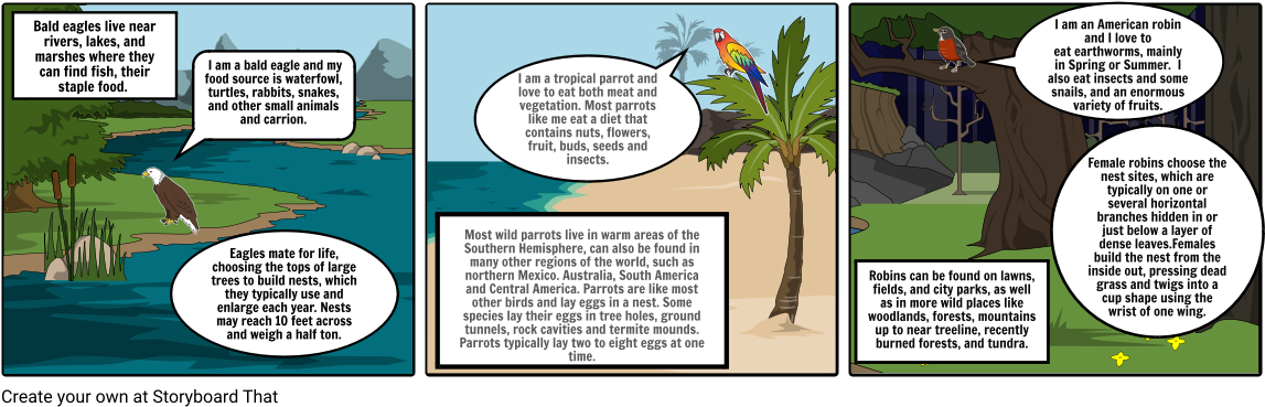 Download Bird Adaptations - Cartoon - Full Size PNG Image - PNGkit