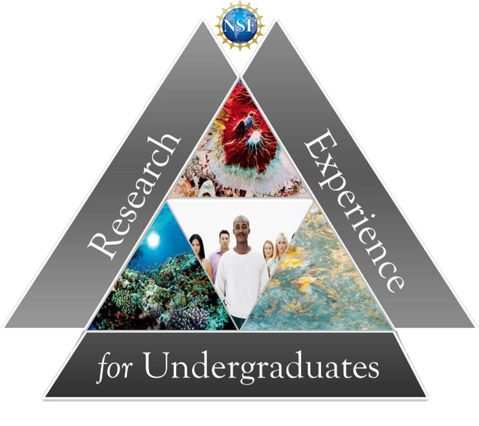 Download Earth Science Resources In The Electronic Age - Full Size PNG ...