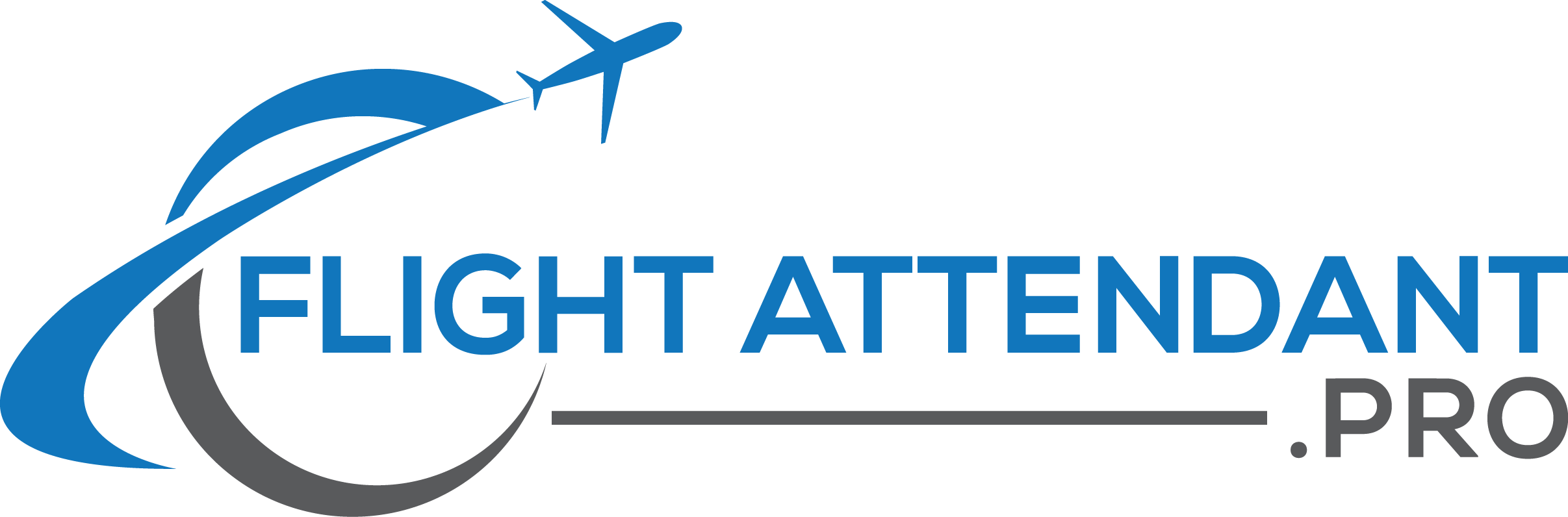 Download Flight Attendant Professional - Security Descriptor - Full ...